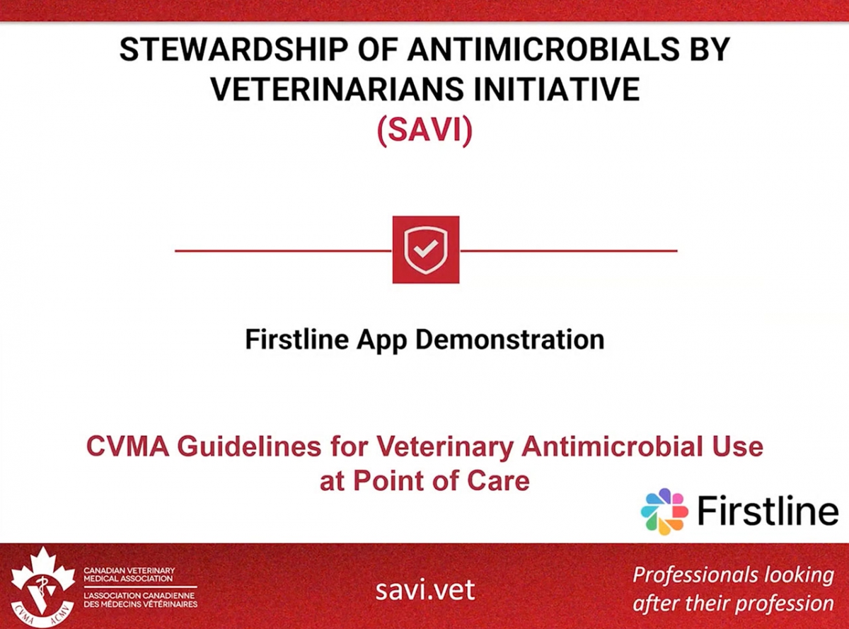 SAVI: The Stewardship of Antimicrobials by Veterinarians Initiative – SAVI